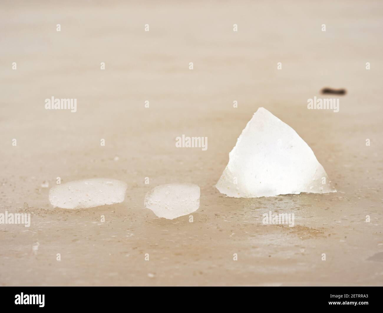 Pink ice floe and colorful muddy water. Structure of frozen bubbles in ...