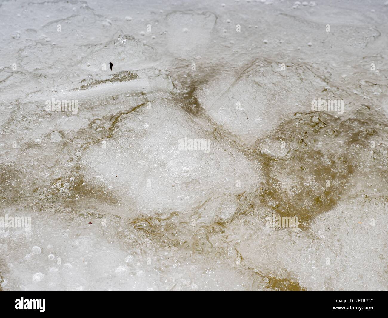 Detail of smashed ice from a large ice floe on the beach of the island ...