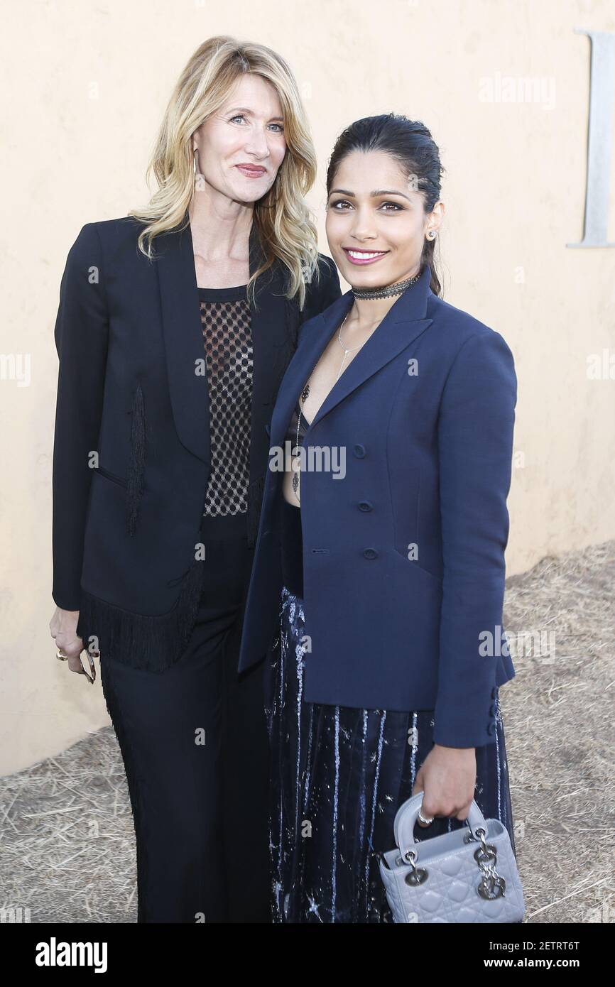 Laura Dern and Frieda Pinto at the Christian Dior Cruise 2018 Runway ...