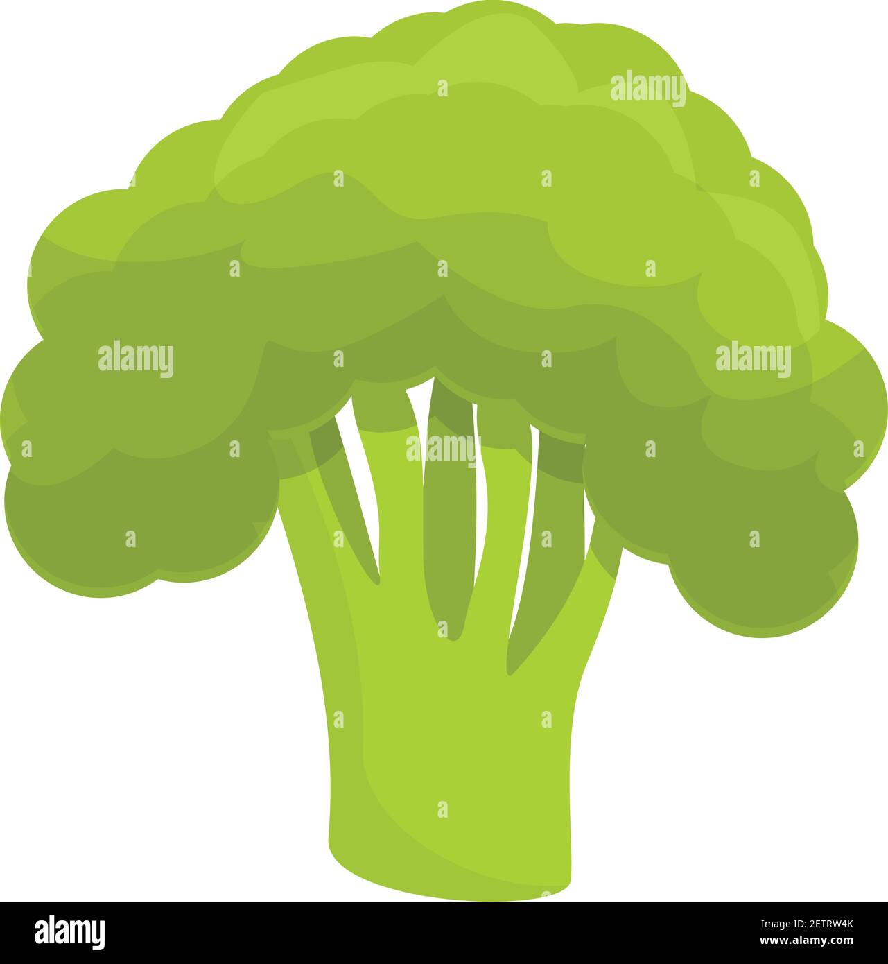 Broccoli icon. Cartoon of broccoli vector icon for web design isolated ...