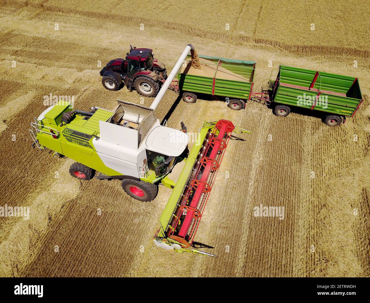 Green professional combine harvester pouring seeds into the tank of the ...