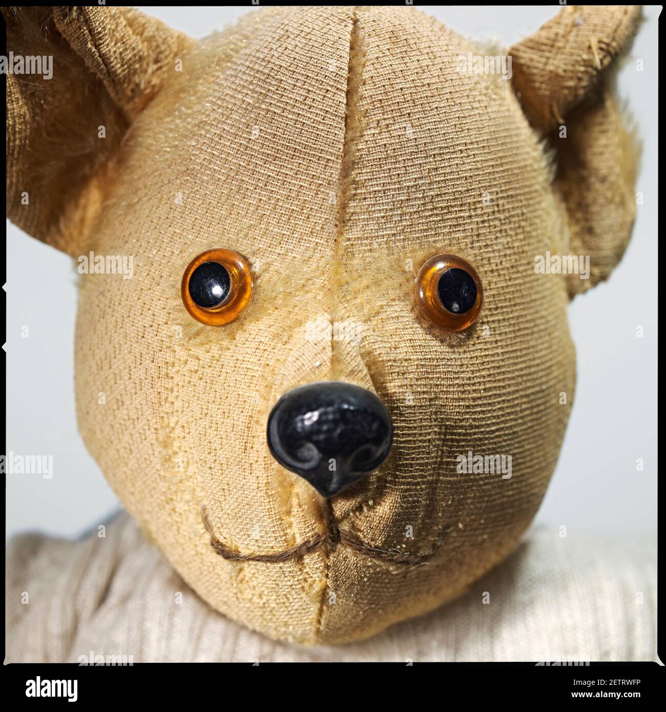 Still Life in the studio of worn and loved childhood teddy bear Stock ...