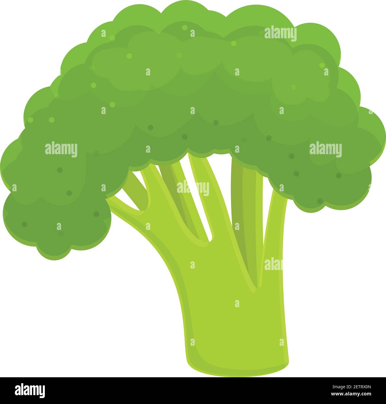 Garden broccoli icon. Cartoon of garden broccoli vector icon for web ...