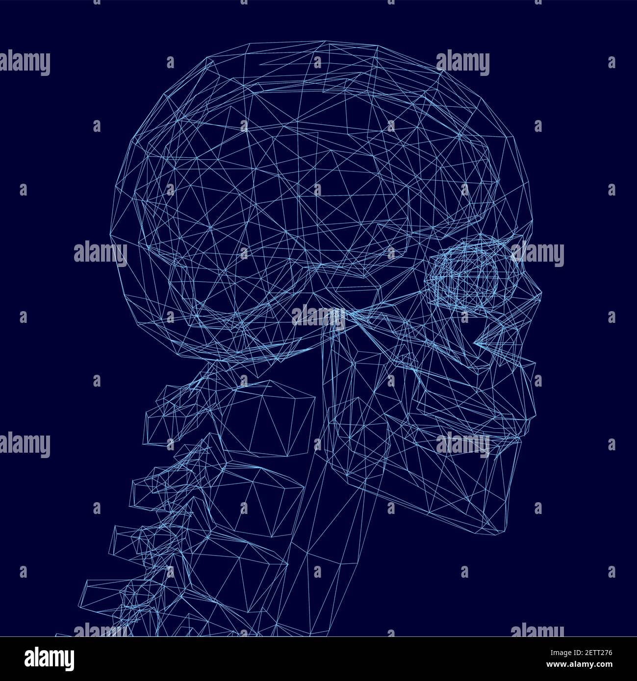 Abstract wireframe of human skull made of blue lines on a dark ...