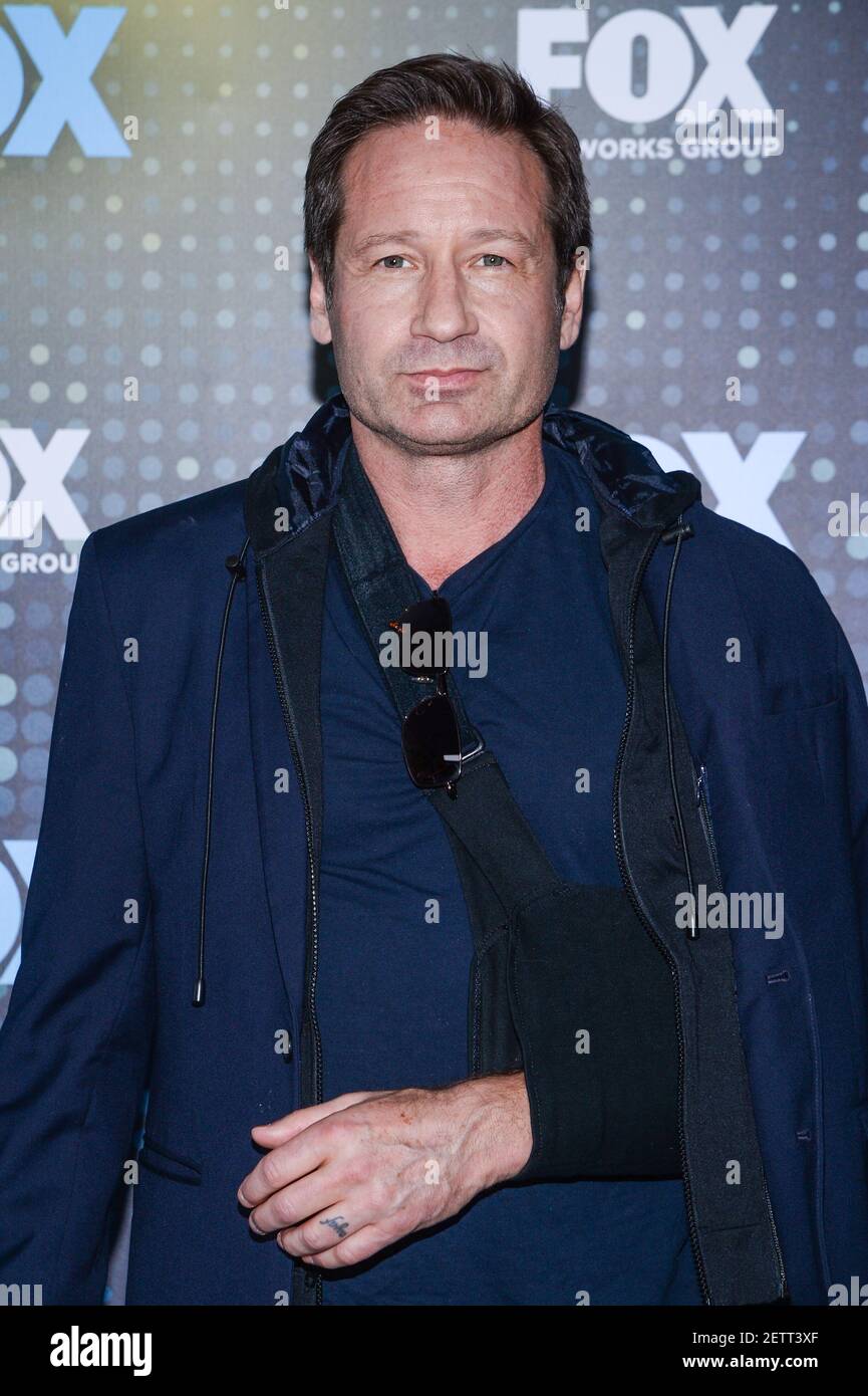 NEW YORK, NY - MAY 15: David Duchovny attends the 2017 Fox Programming ...