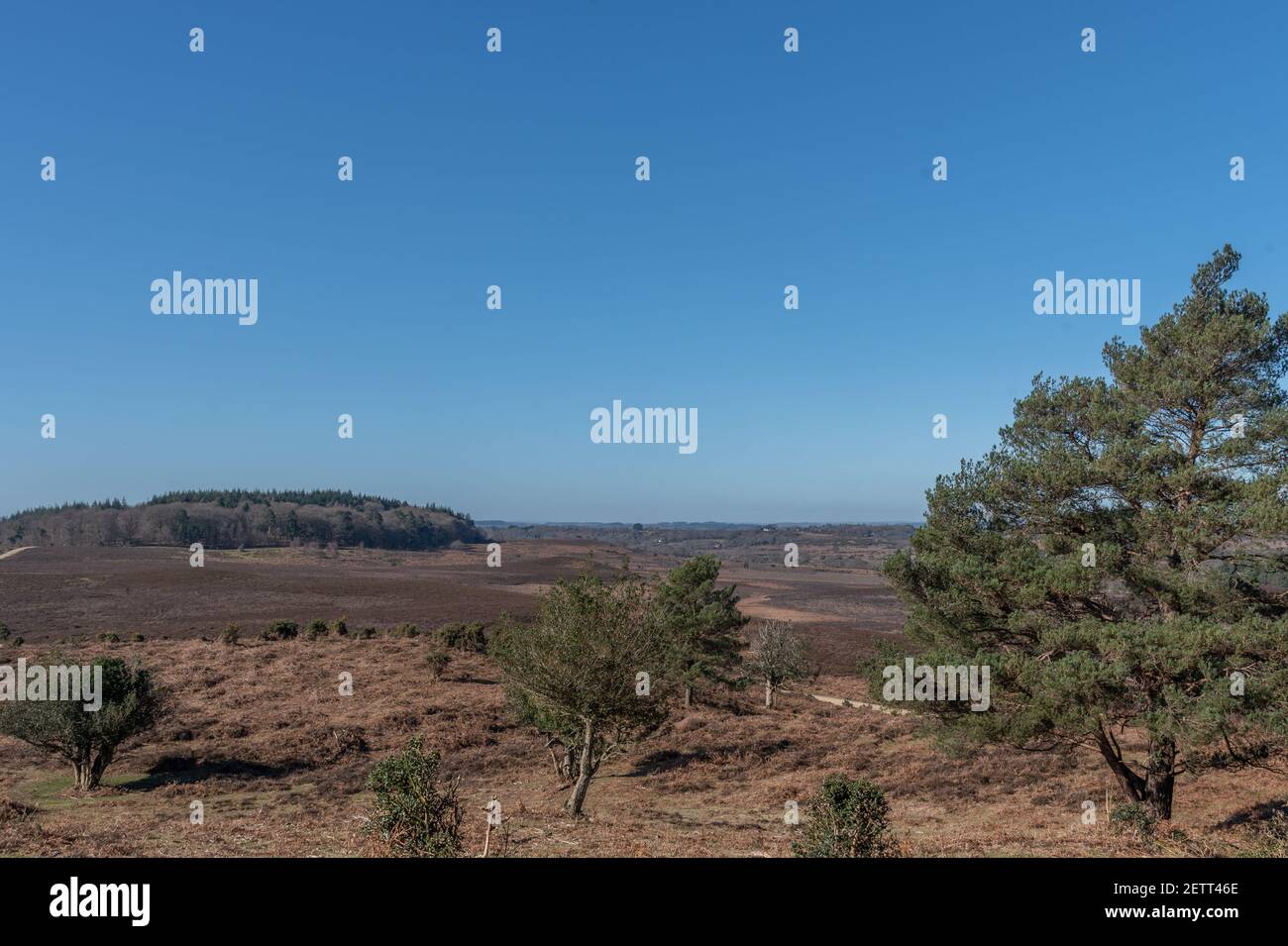 Hasley hi-res stock photography and images - Alamy