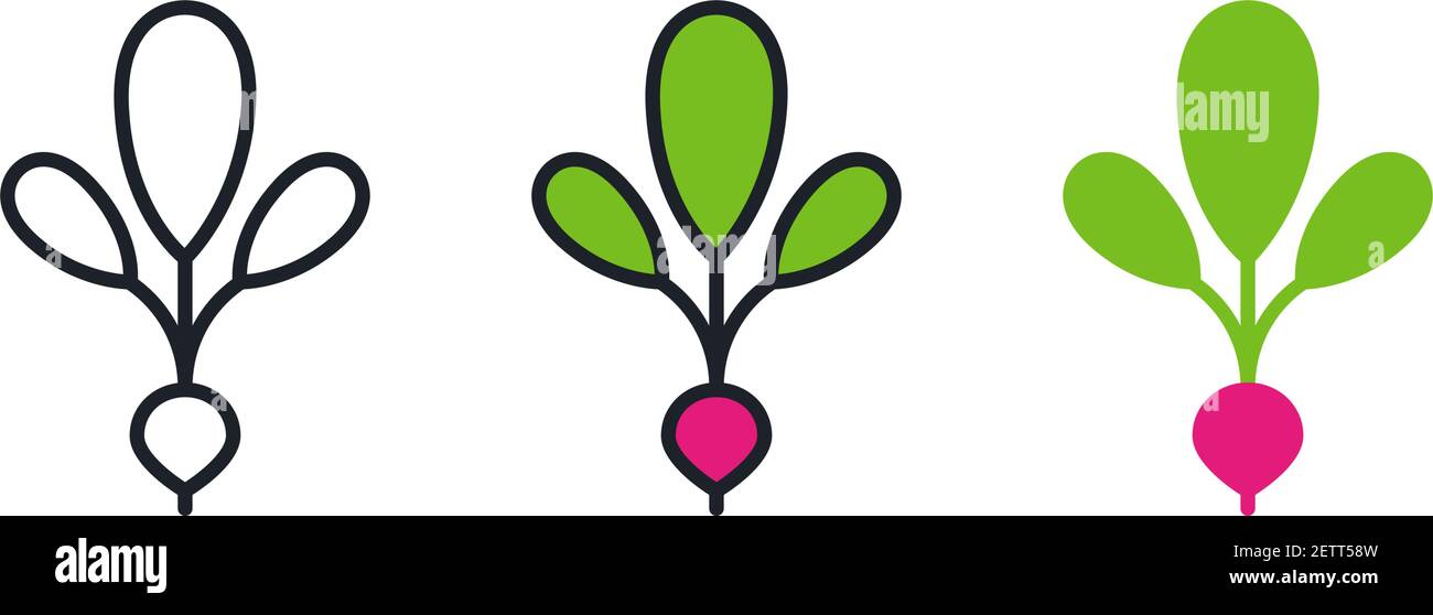 Radish icon. Linear color icon, contour, shape, outline isolated on ...