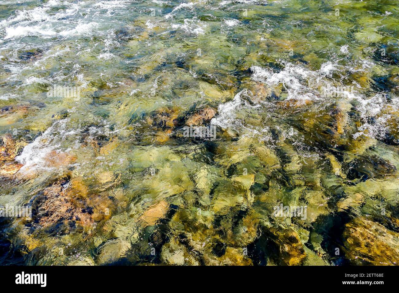 The stream in the forest in Sweden Scandinavia North Europe Stock Photo ...