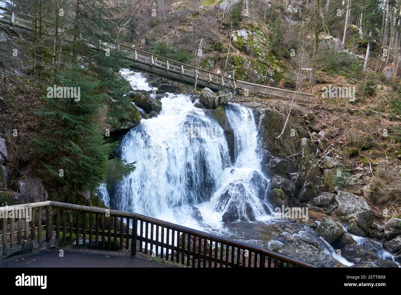 A pedestrian bridge over a river cascade flowing through a forest Stock ...