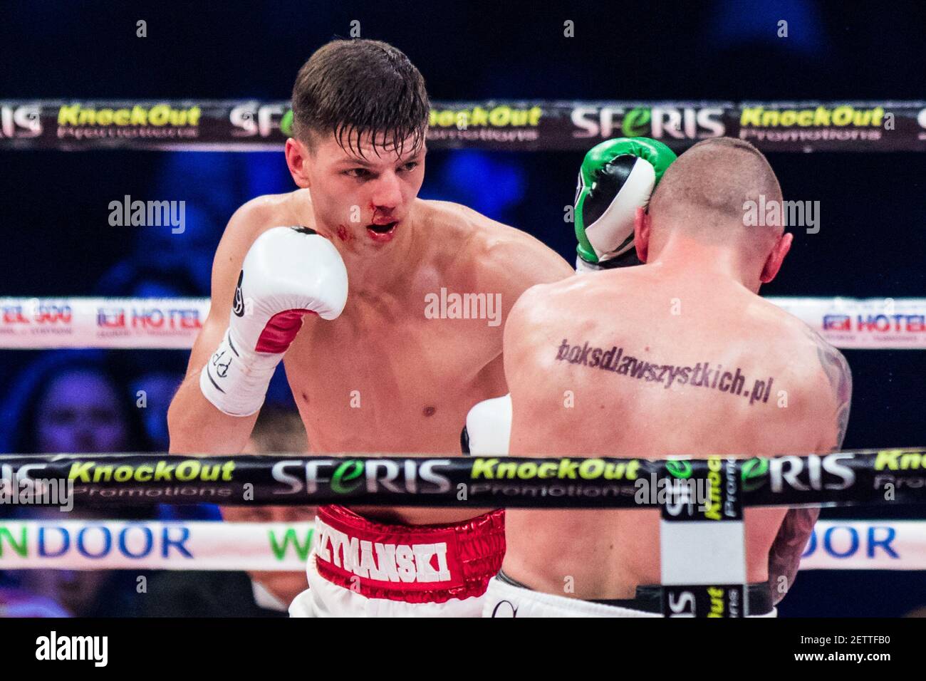 2017.5.20, Poznan , Boks , gala bokserska Poznan Boxing Night , n z fot ...