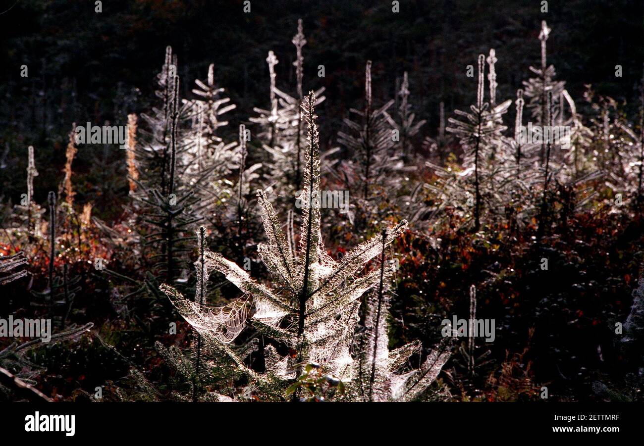 October cornwall hi-res stock photography and images - Alamy