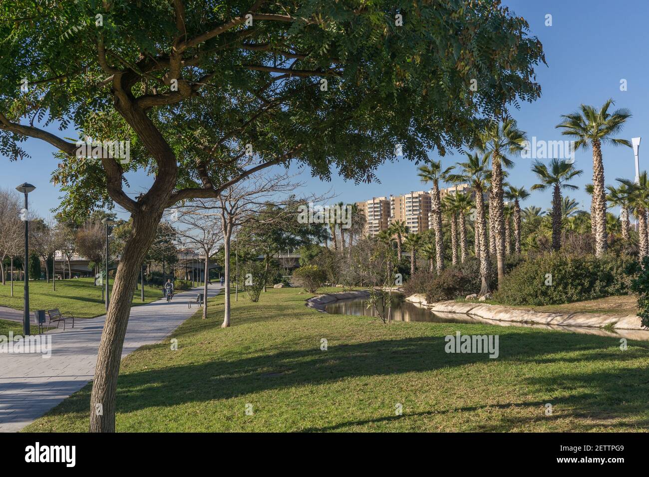 Valencia, Spain Turia gardens, park made in old riverbed Stock Photo ...