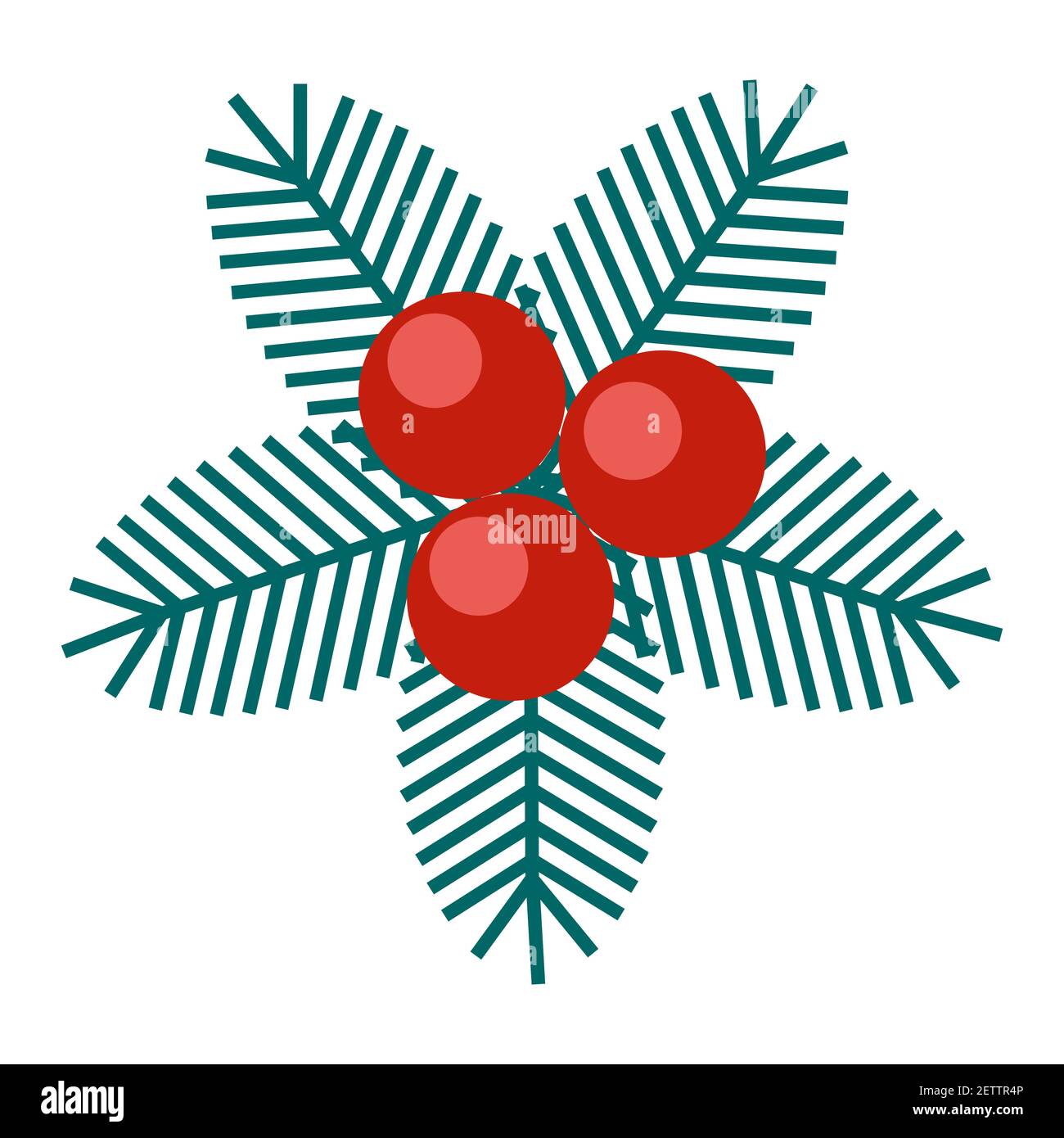 Red spruce needles Stock Vector Images - Alamy