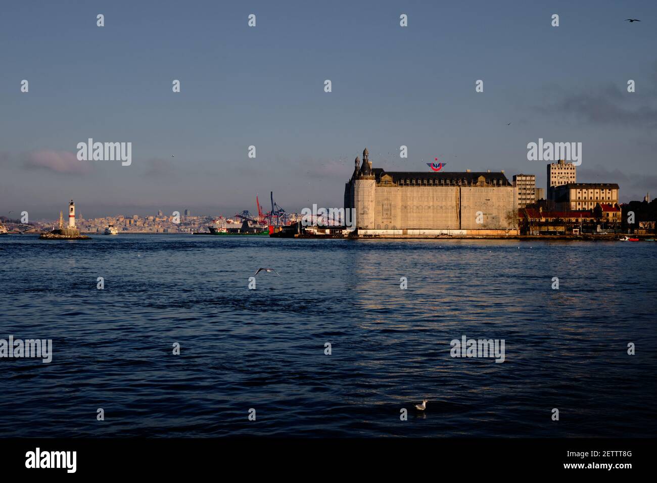 Many birds and seagulls in bosporus with old and ancient train station ...