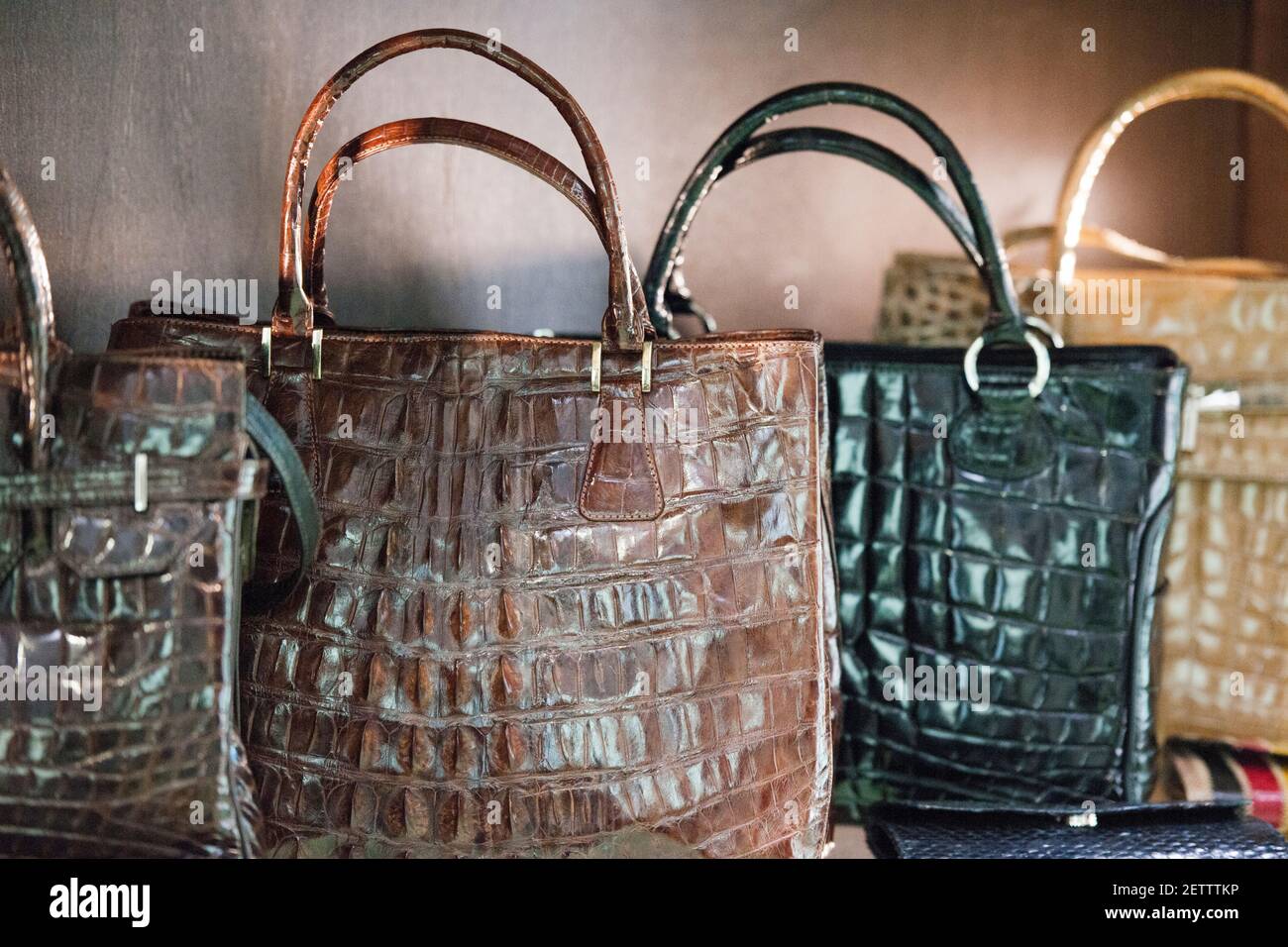 Fashionable and stylish walking handbag for woman. Studio shoot Stock ...