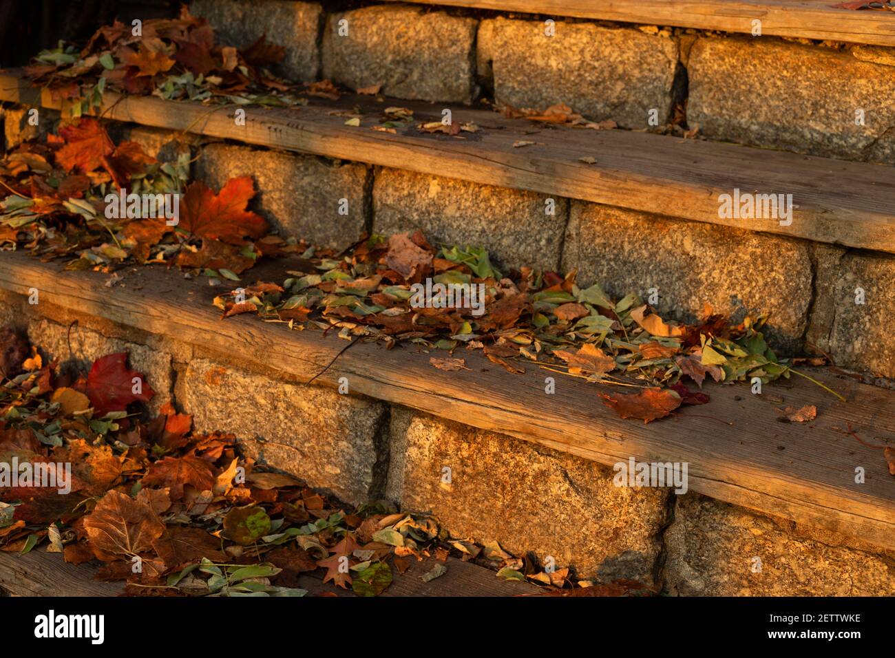 Old stone steps with wood treads covered with leaves in the early ...