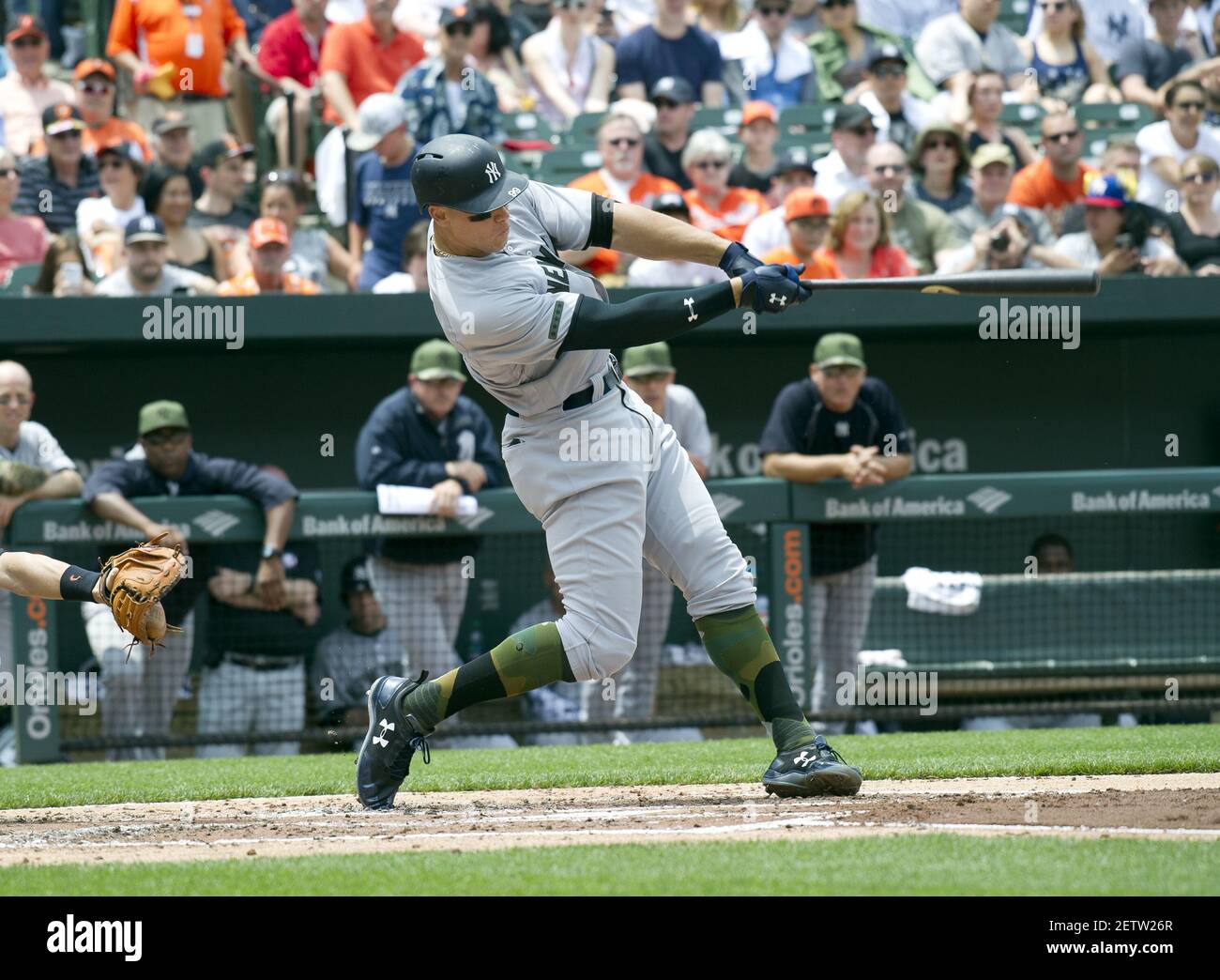 Aaron judge out field hi-res stock photography and images - Alamy