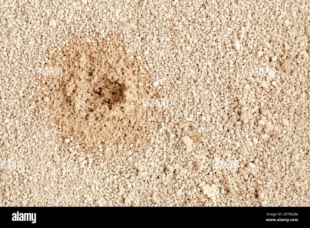 Pets toilet hi-res stock photography and images - Alamy