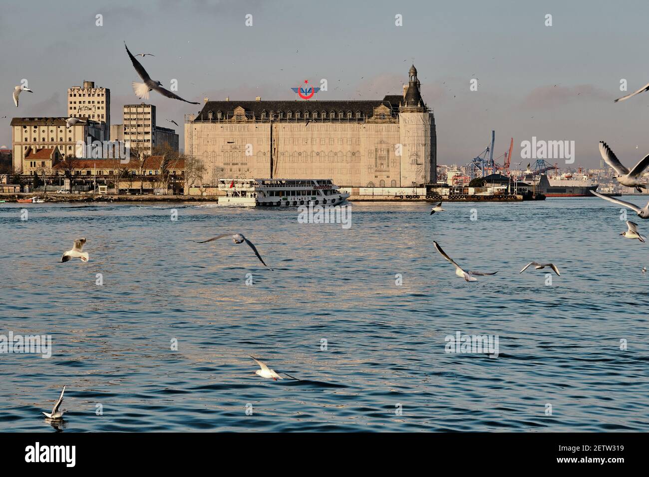 Many birds and seagulls in bosporus with old and ancient train station ...