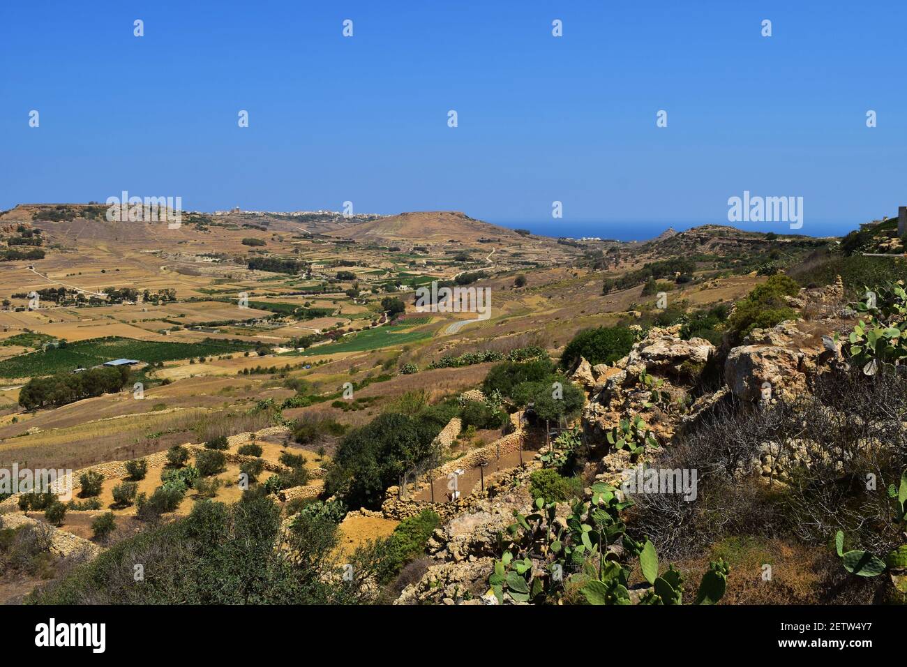 Terraced fields and hills in the countryside of Gozo in the ...