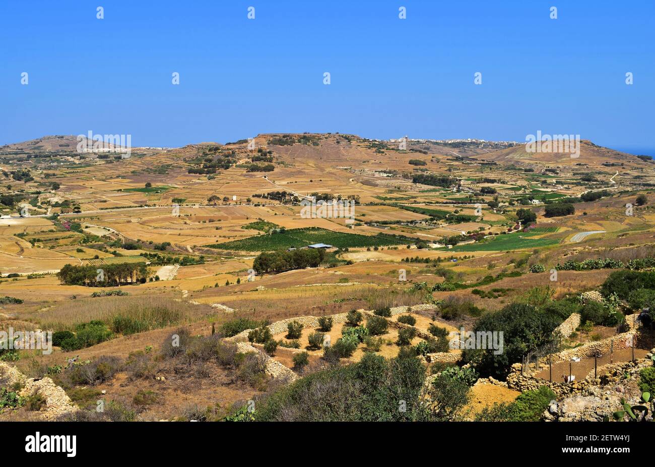 Terraced fields and hills in the countryside of Gozo in the ...