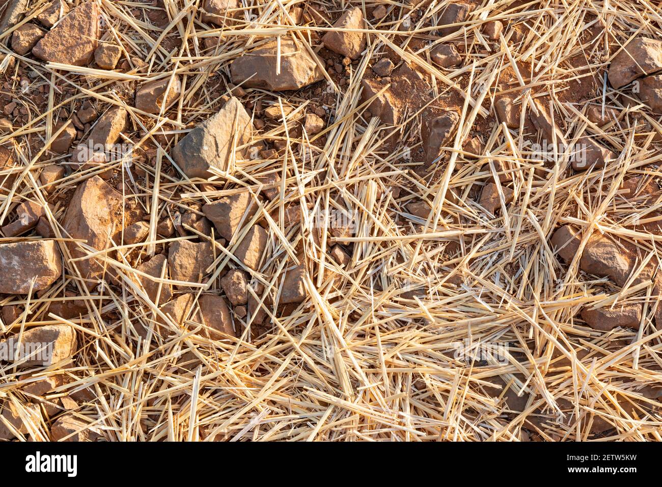 Arid farming hi-res stock photography and images - Alamy