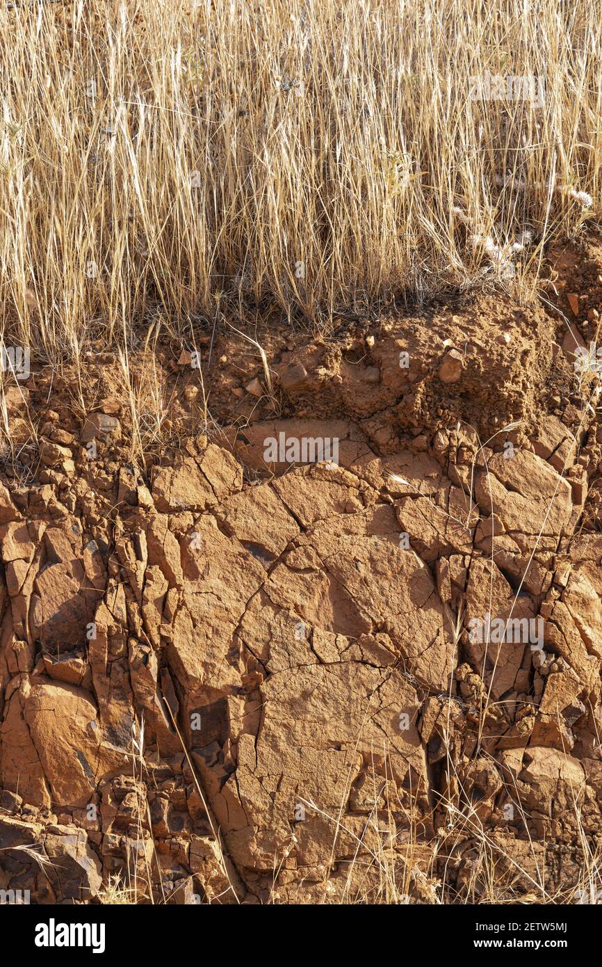 Arid and dry land in summer in an Andalusian countryside in southern ...