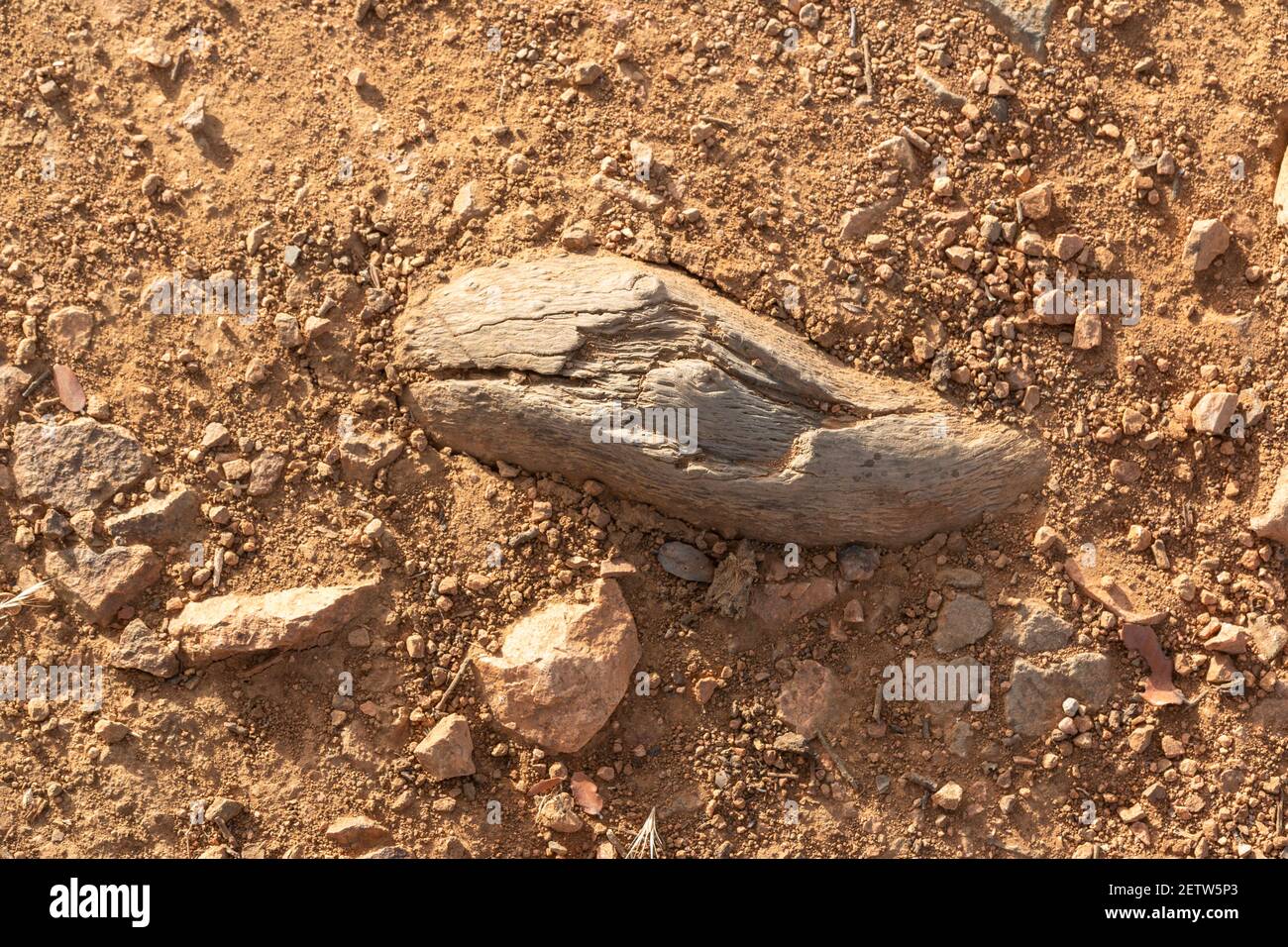 Arid and dry land in summer in an Andalusian countryside in southern ...