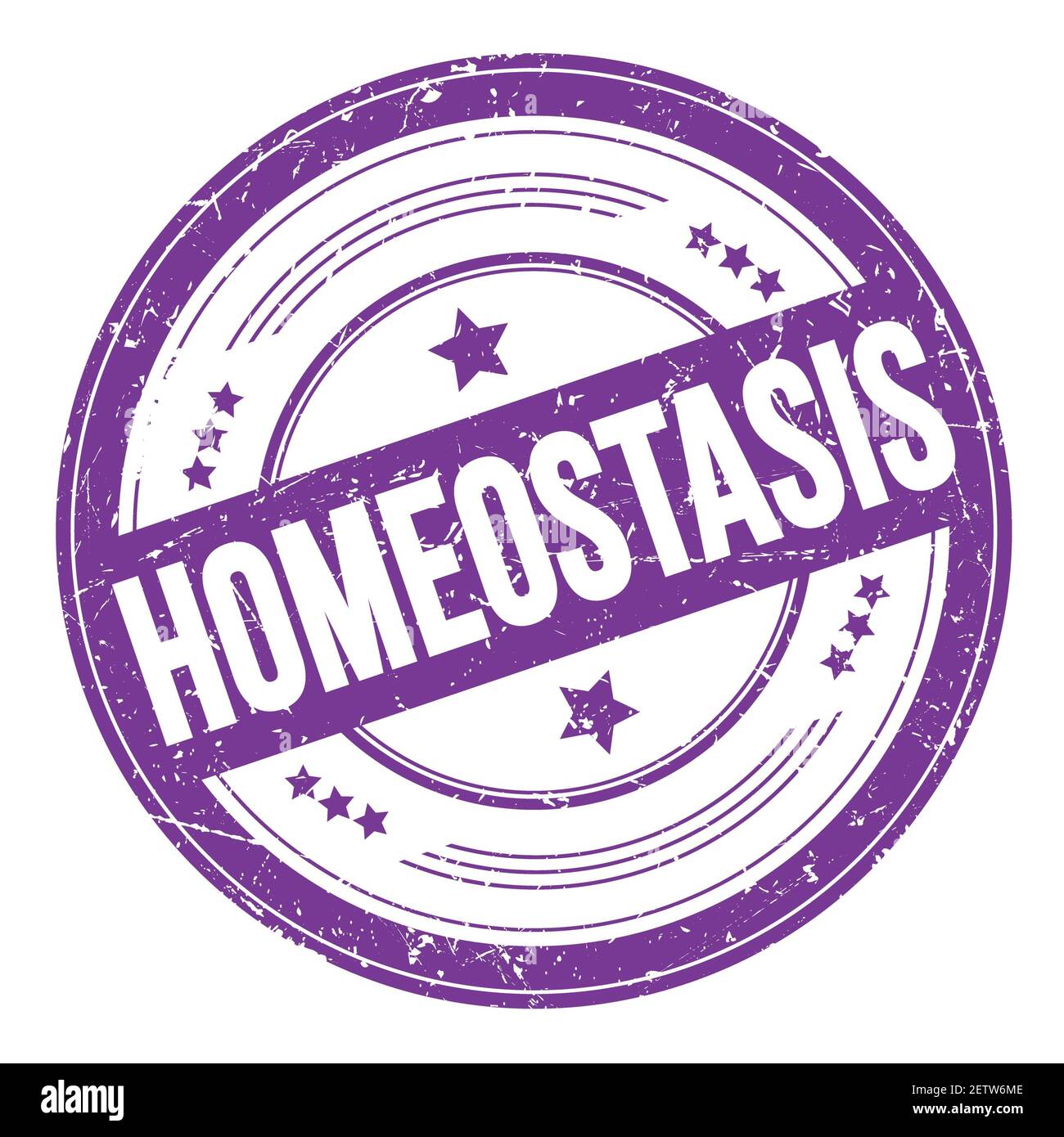 HOMEOSTASIS text on violet indigo round grungy texture stamp Stock ...
