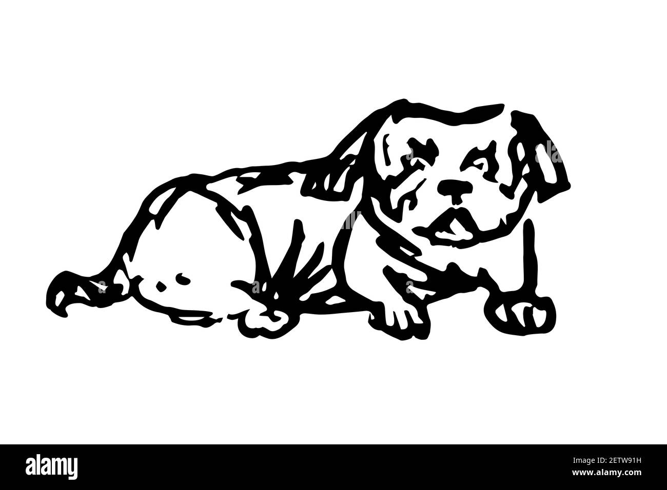 French Bulldog or Frenchie, hand drawn doodle ink sketch, simple lines ...