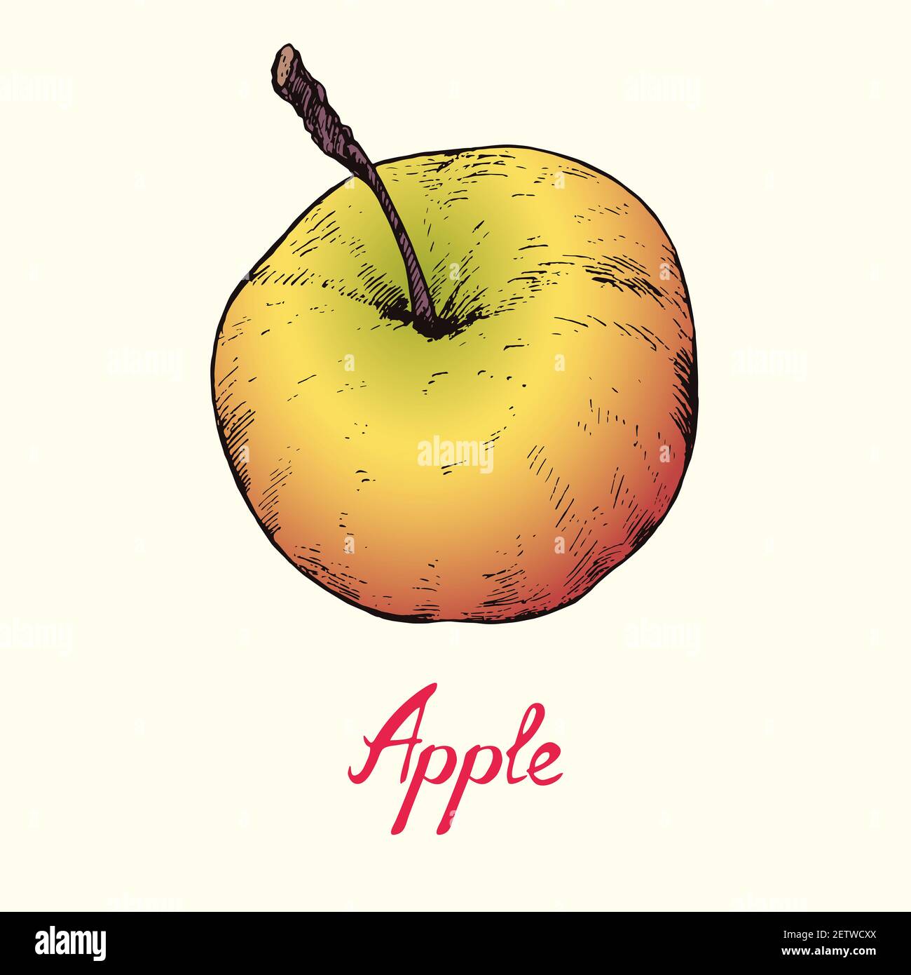 Apple top view, colorful simple doodle drawing with inscription ...