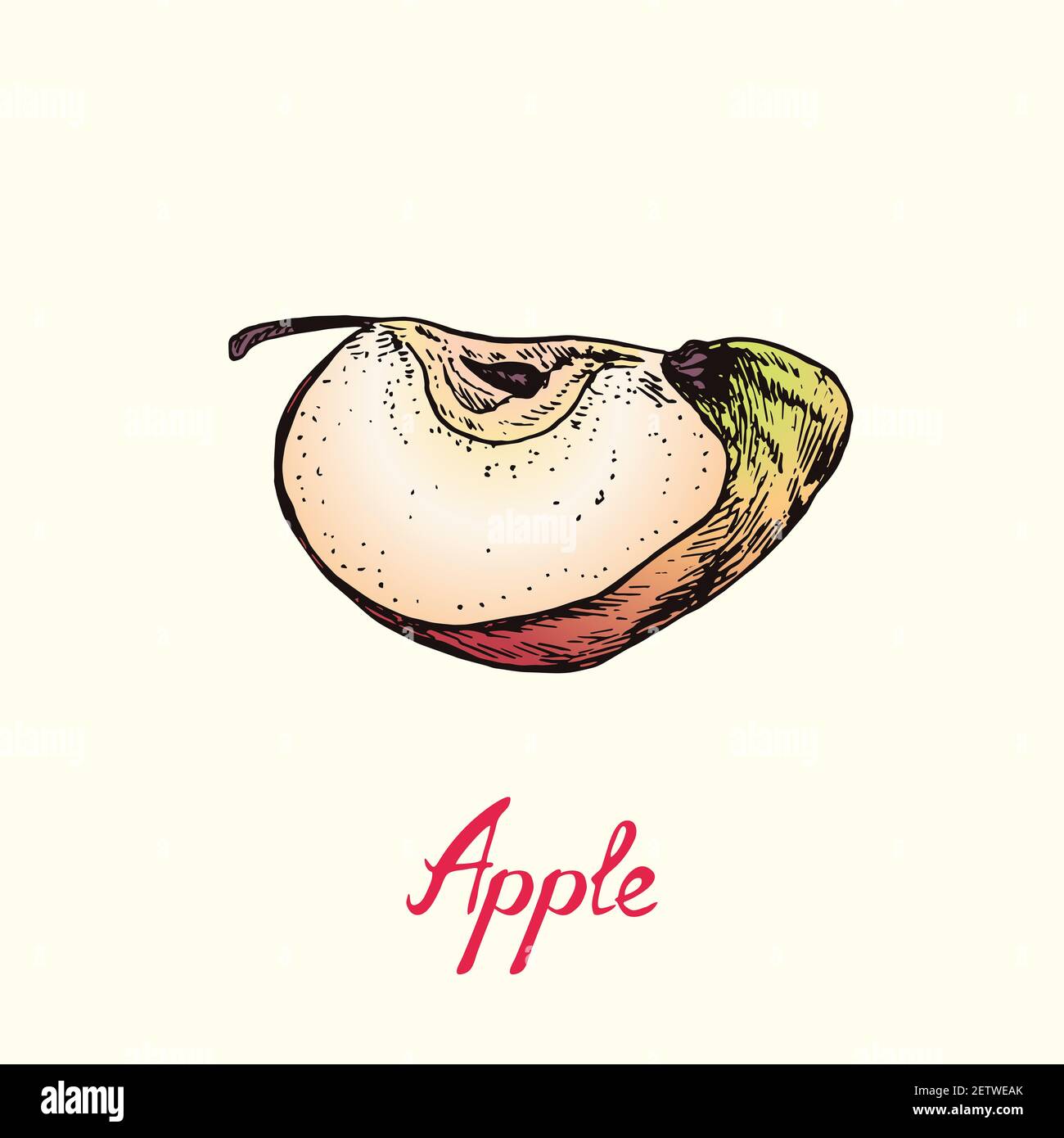 Apple cut slice, outline simple colorful doodle drawing with ...
