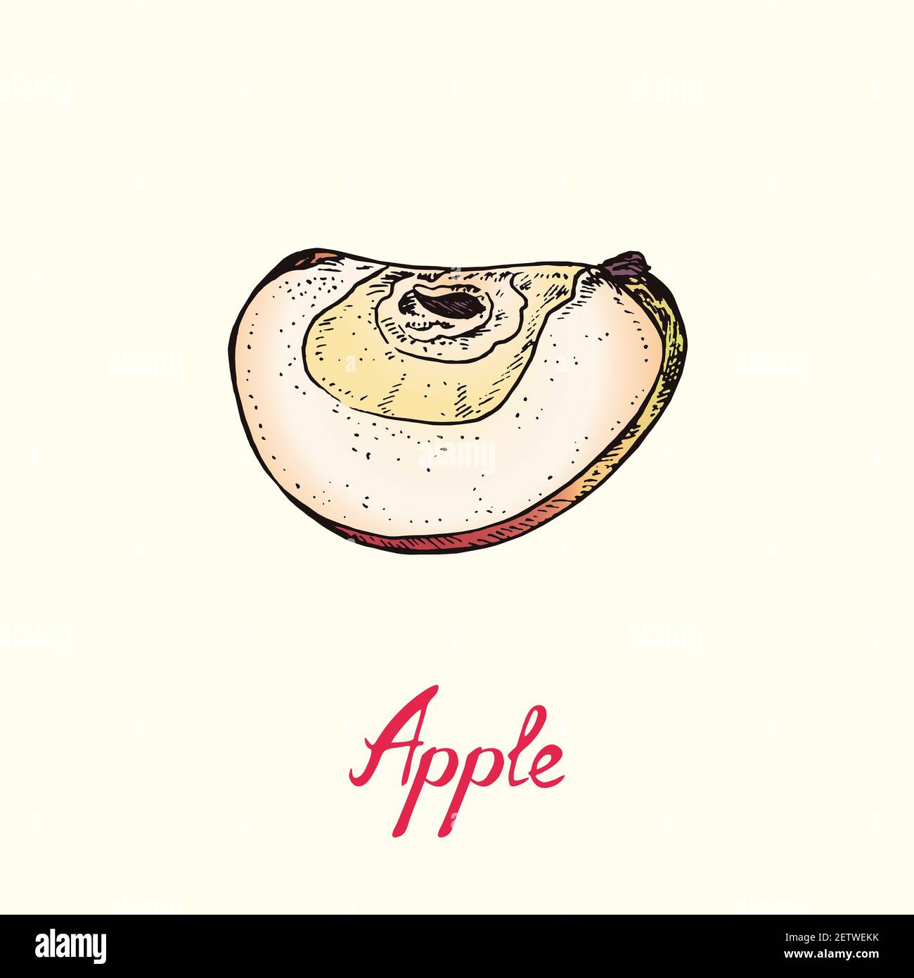 Apple cut slice, outline simple colorful doodle drawing with ...