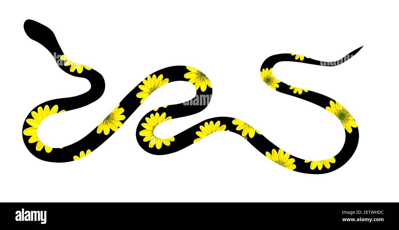 Python Snake Silhouette