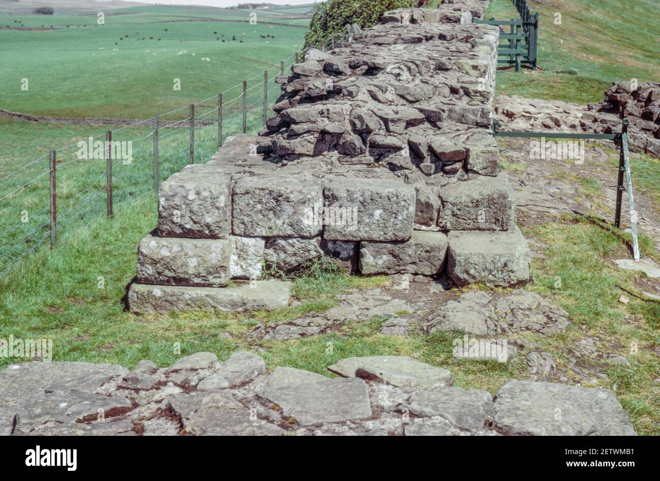 Remains of a Roman defensive fortification known as Hadrian’s Wall ...