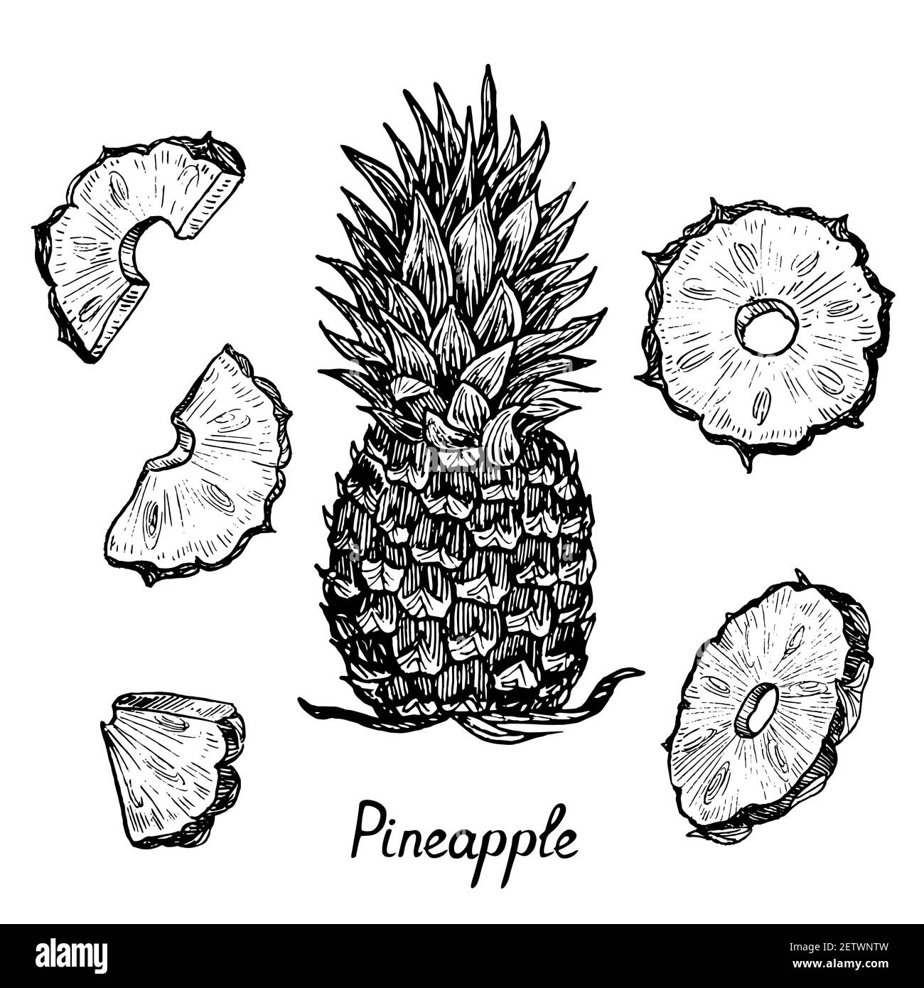 Cut Pineapple Drawing