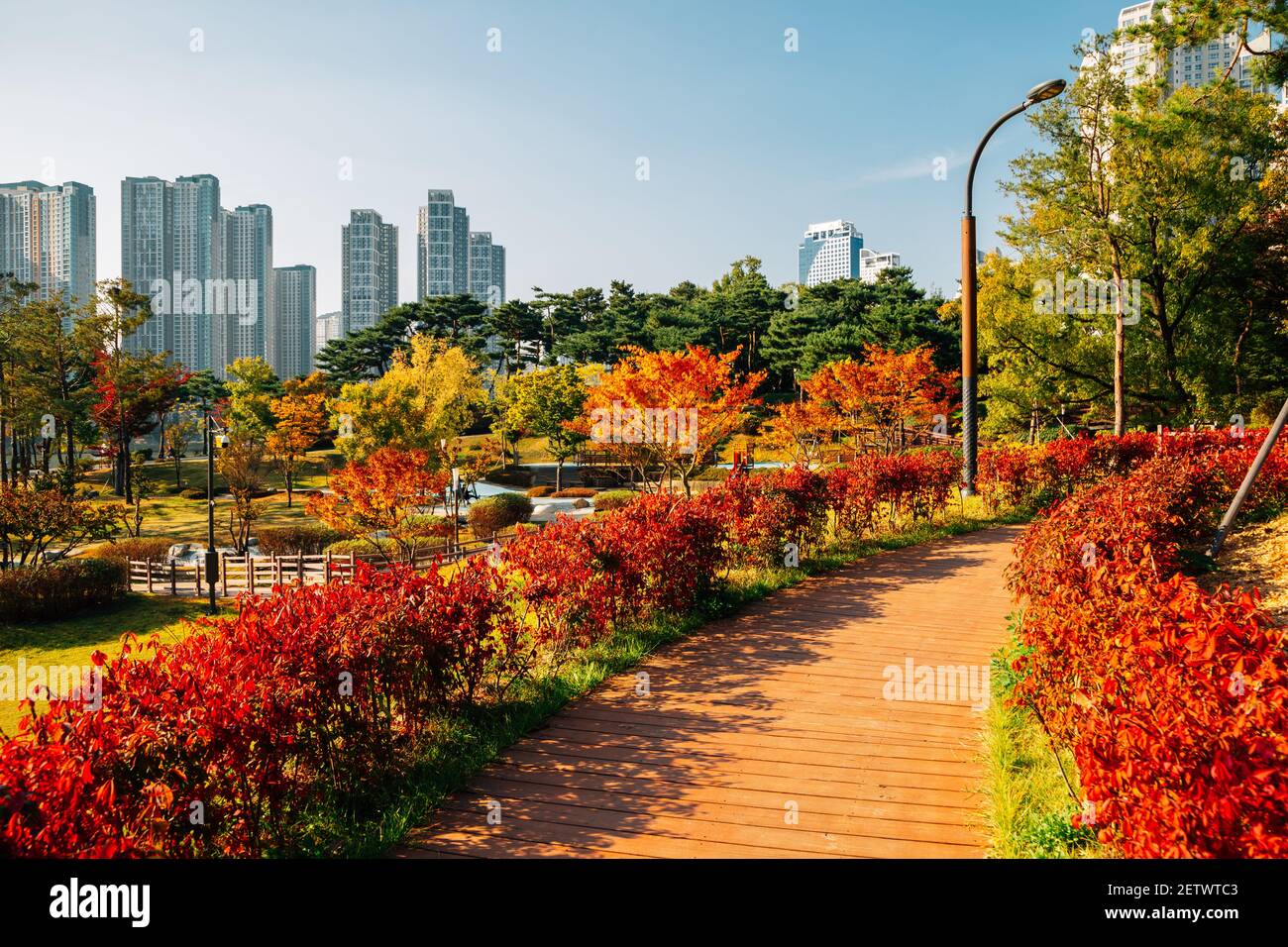 Modern skyscrapers and Gwanggyo Lake Park at autumn in Suwon, Korea ...