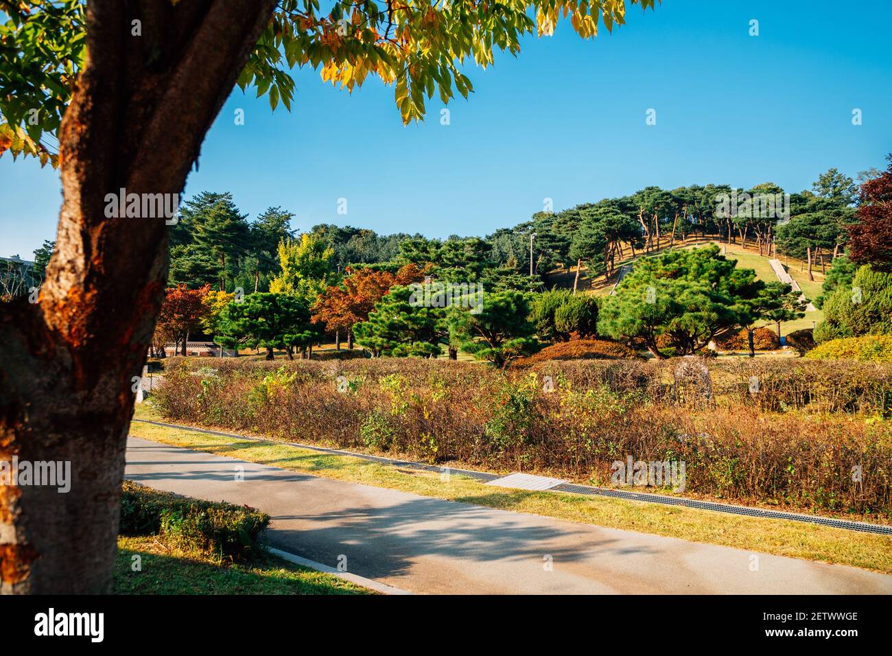 Gwanggyo History Park at autumn in Suwon, Korea Stock Photo - Alamy