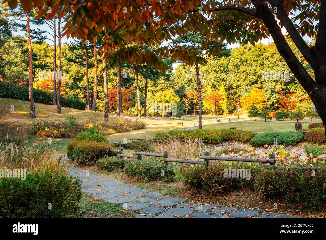 Gwanggyo Central Park at autumn in Suwon, Korea Stock Photo - Alamy