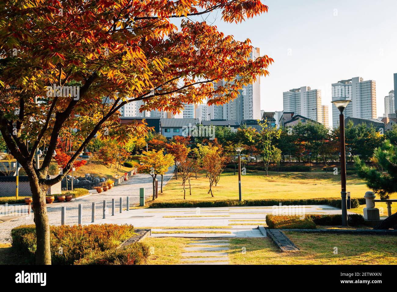 Gwanggyo History Park at autumn and city view in Suwon, Korea Stock ...
