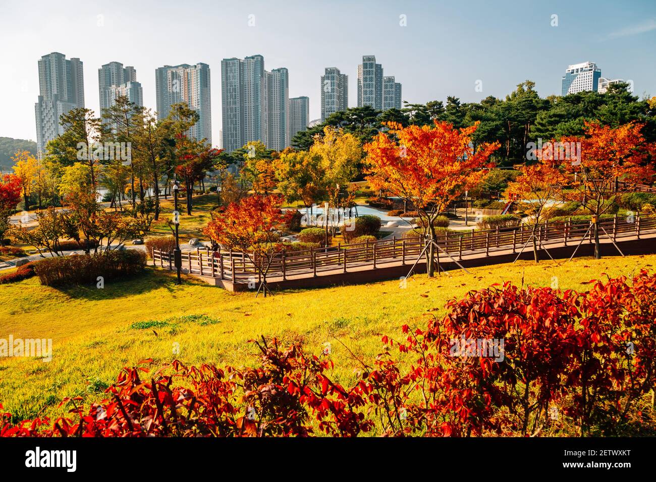 View of modern skyscrapers and Gwanggyo Lake Park at autumn in Suwon ...