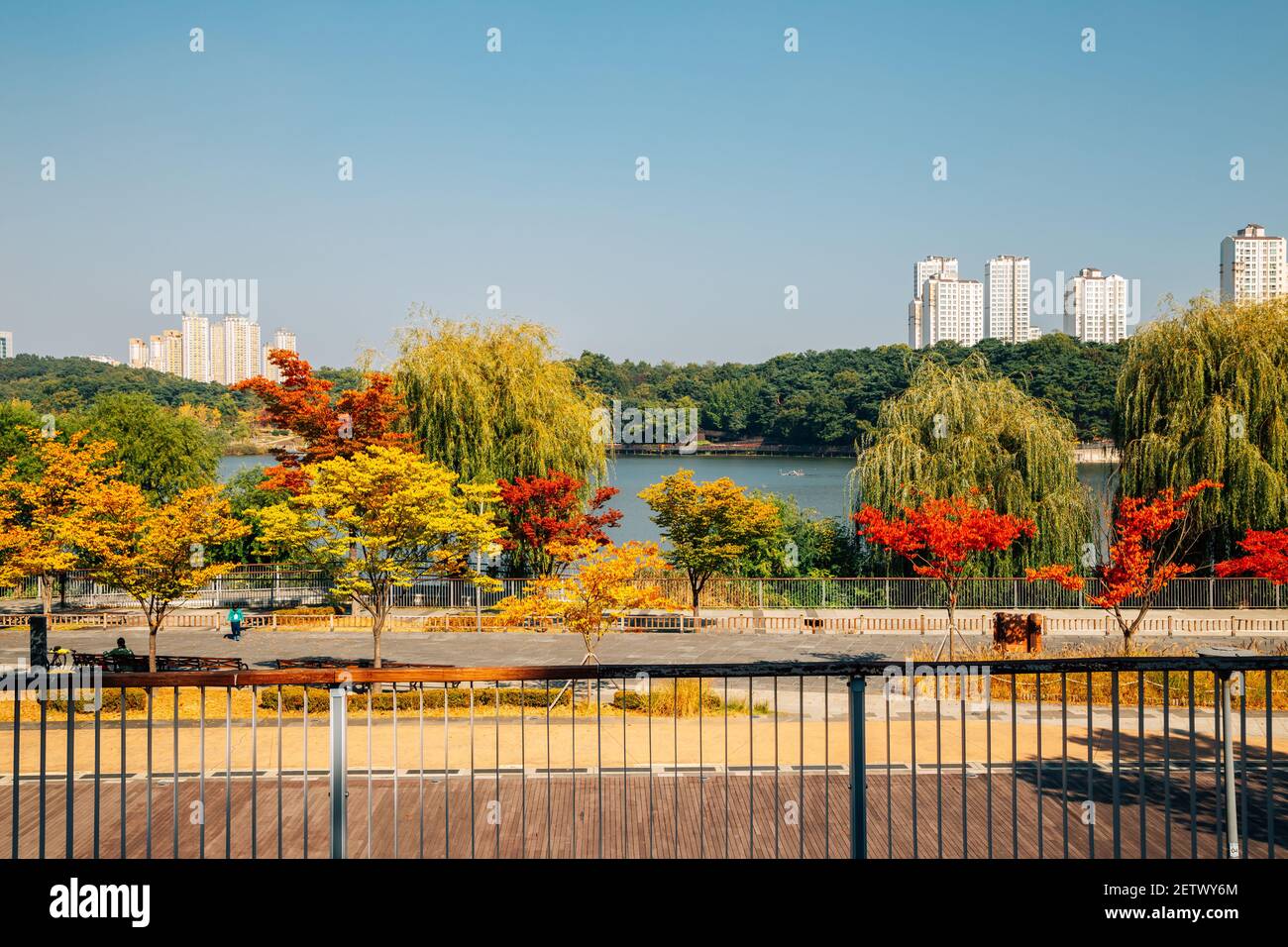 Gwanggyo Lake Park at autumn in Suwon, Korea Stock Photo - Alamy