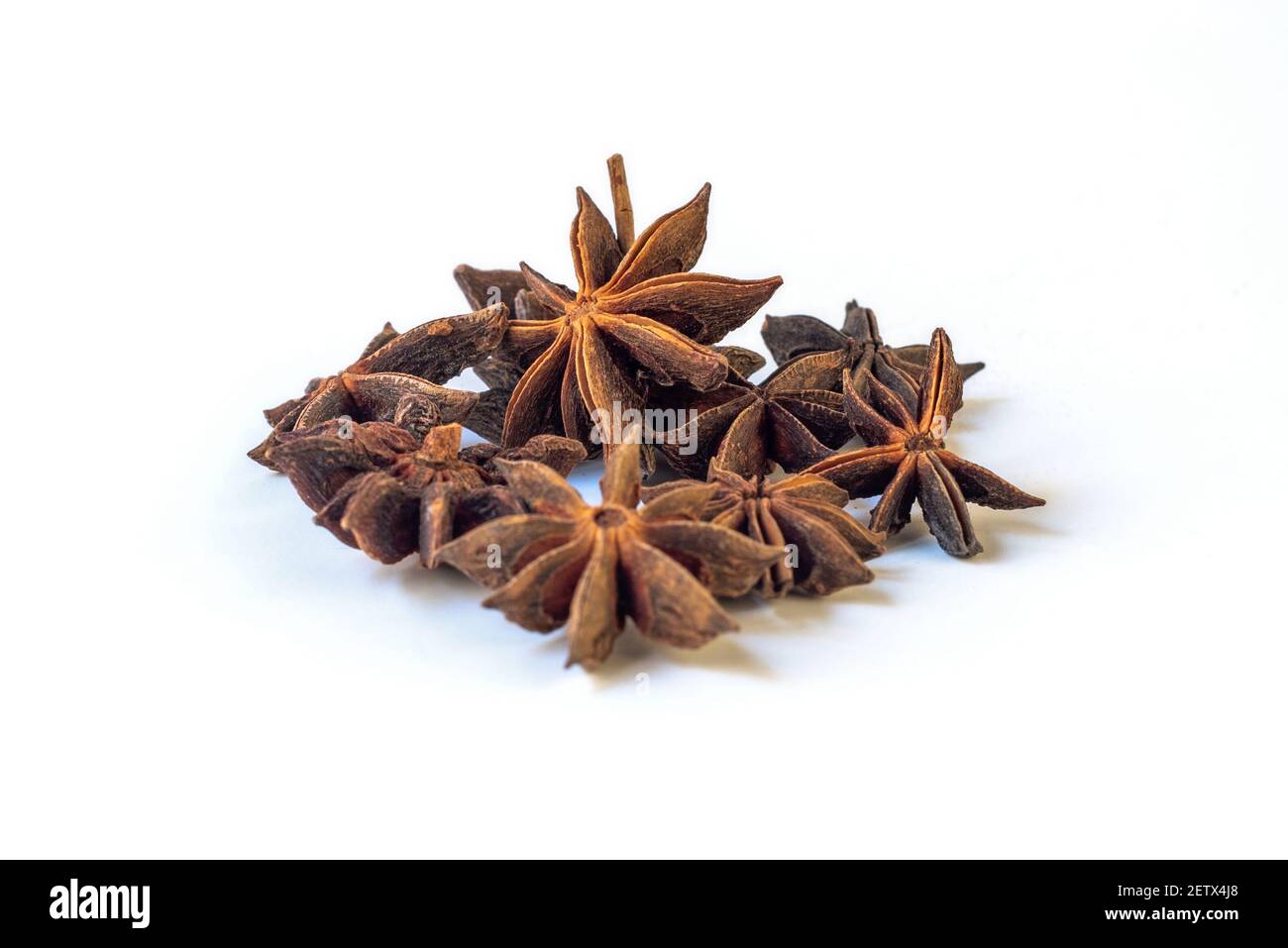Anise tree hi-res stock photography and images - Alamy