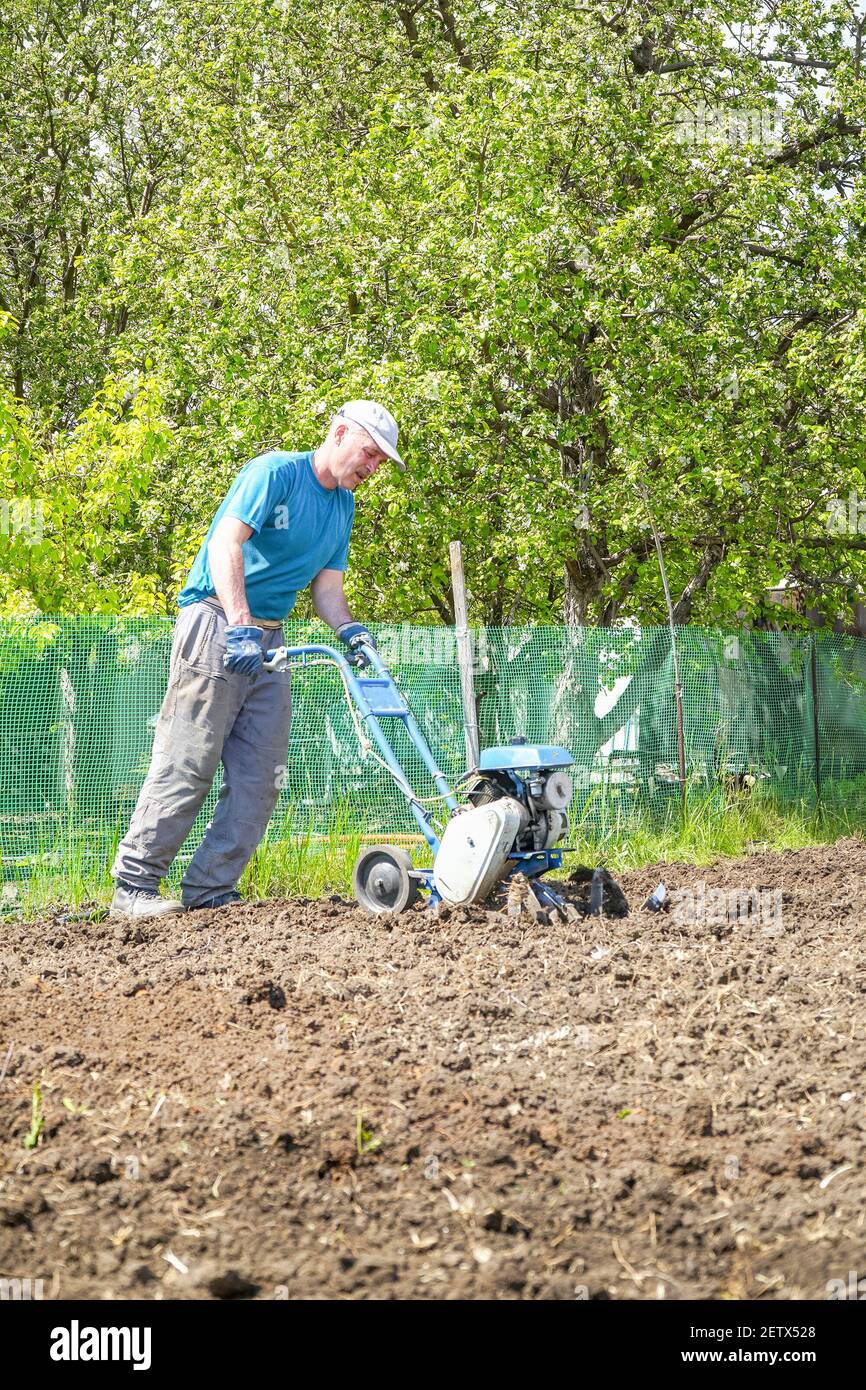 A man cultivates the soil in the garden using a motor cultivator ...