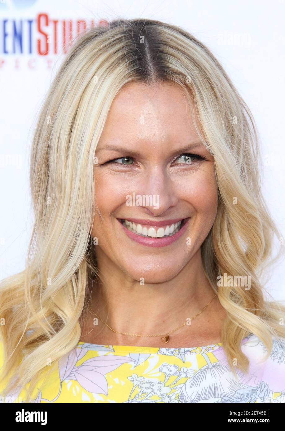 Actress Amy Laughlin at the Los Angeles Premiere Of "47 Meters Down ...