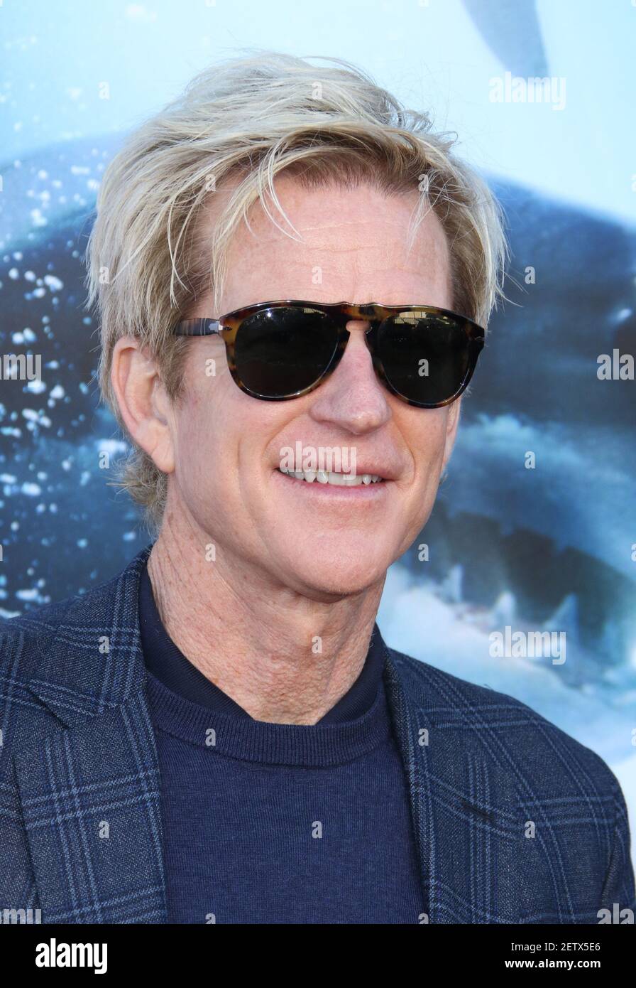 Actor Matthew Modine at the Los Angeles Premiere Of "47 Meters Down ...