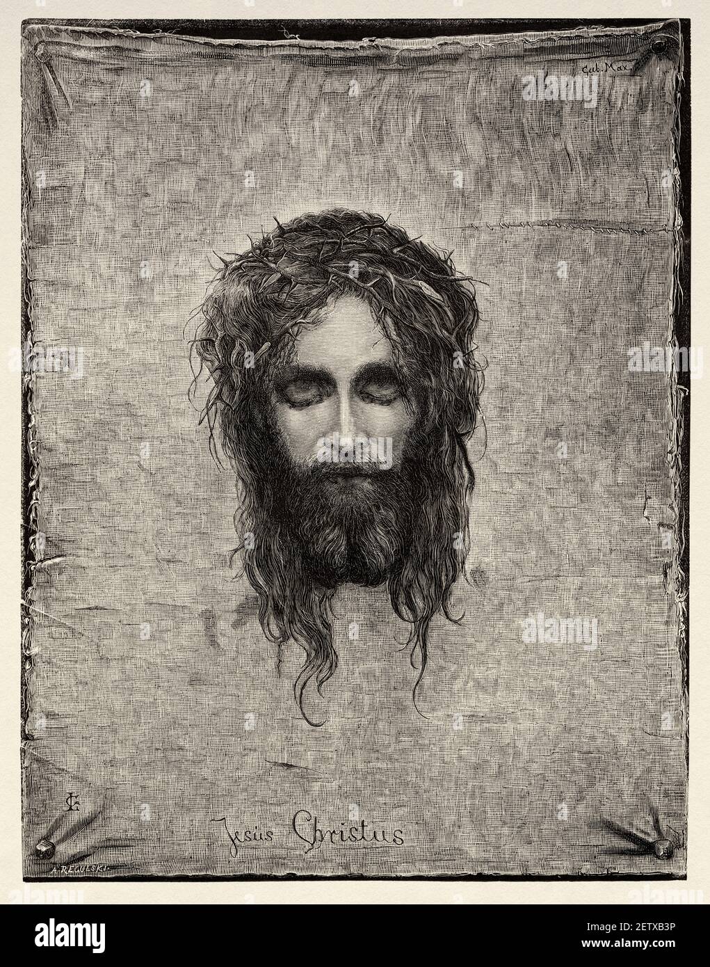Veil of veronica hi-res stock photography and images - Alamy