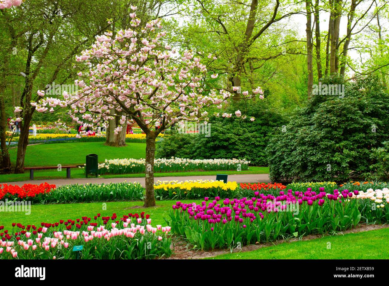Formal spring garden Stock Photo - Alamy