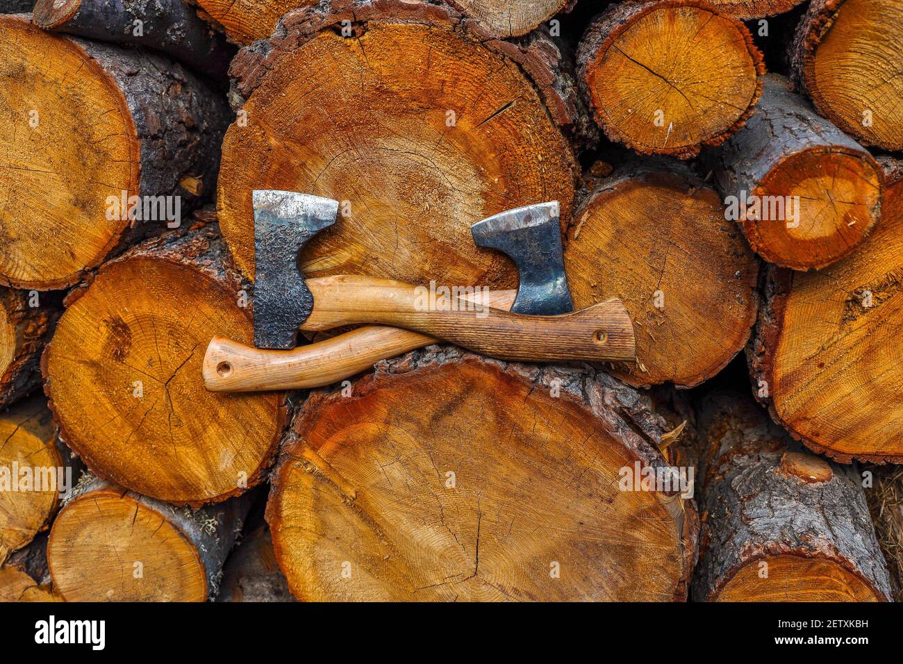 Two axes cross on front of felled tree trunks, Lumberjack Heritage ...