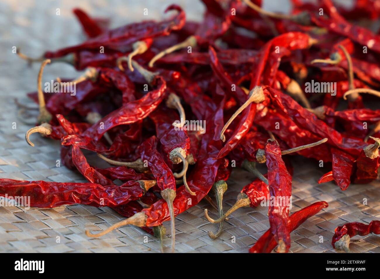 Indian woman hand powdering Indian spices Red chilly , chili paprika ...